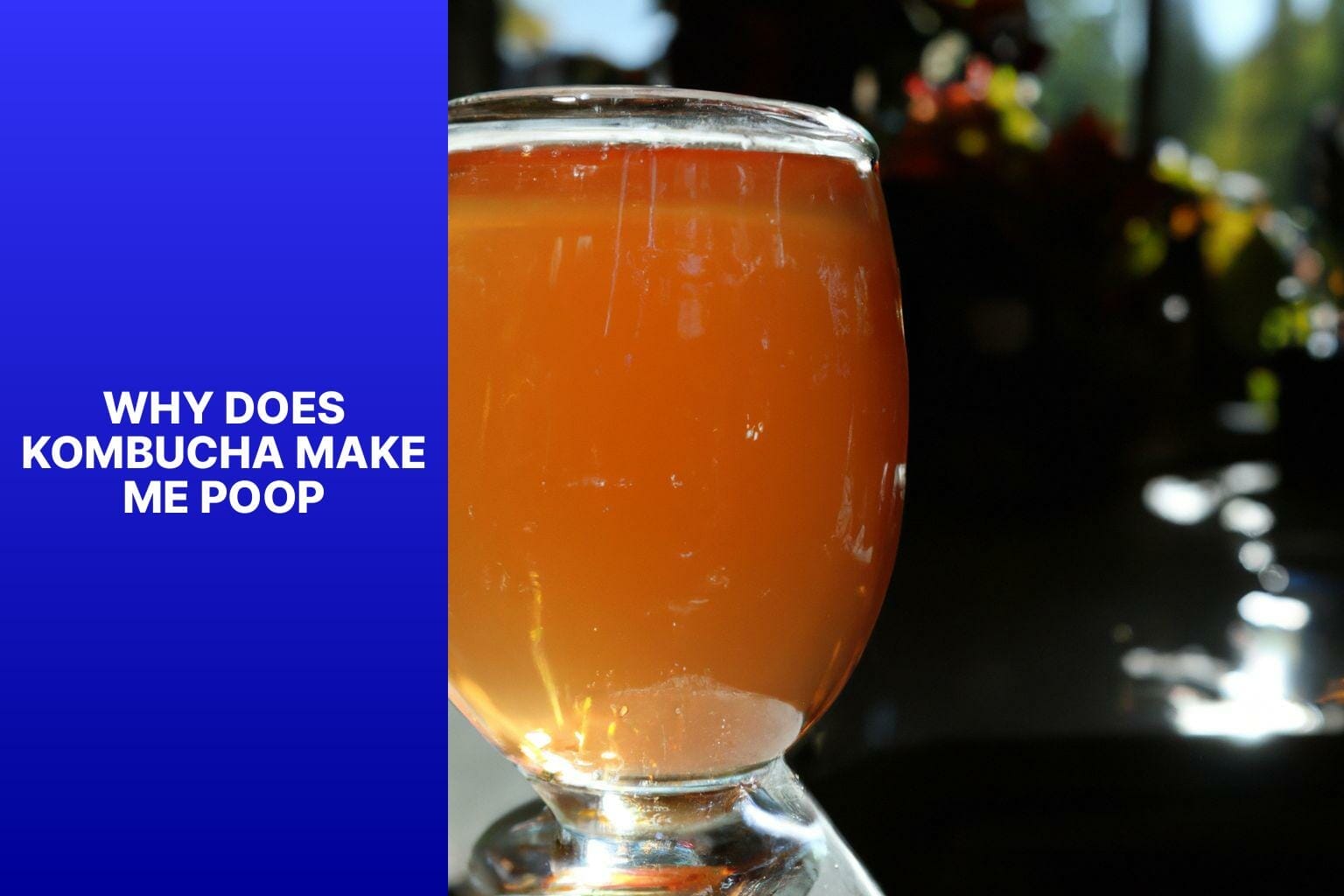 Why Does Kombucha Make Me Poop?